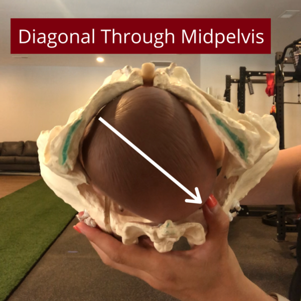 During Labor: 4 Cardinal Rotations of the Baby - MamasteFit