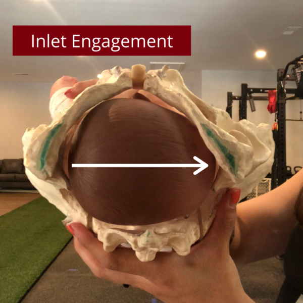 During Labor: 4 Cardinal Rotations of the Baby - MamasteFit