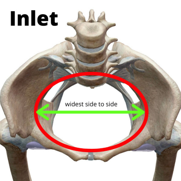 How to Open the Pelvis for Birth: Inlet, Midpelvis & Outlet - MamasteFit