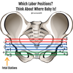 Best Laboring Positions for Birth - MamasteFit