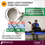 3 Pelvic Levels of Fetal Station: Understand Where the Baby is ...