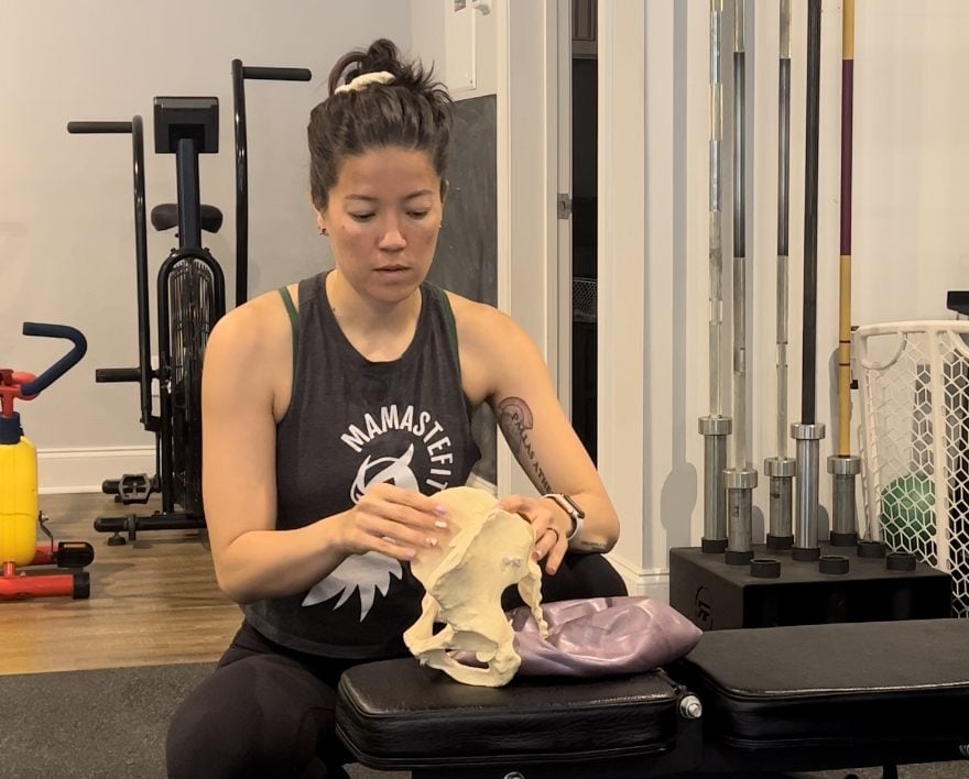 4 Strategies to Avoid Abdominal Coning with Overhead Pressing Movements ...