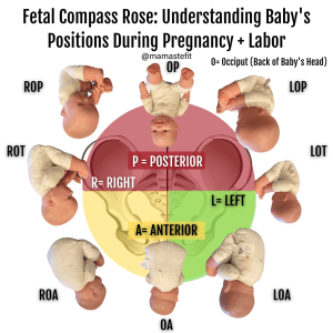 Baby’s Position: 3 Movements to Fix an OP or Posterior Baby’s Position ...