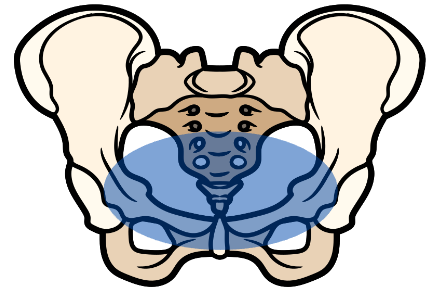 8-Minute Birth Prep Mobility Flow: Create Space in Your Pelvis - MamasteFit