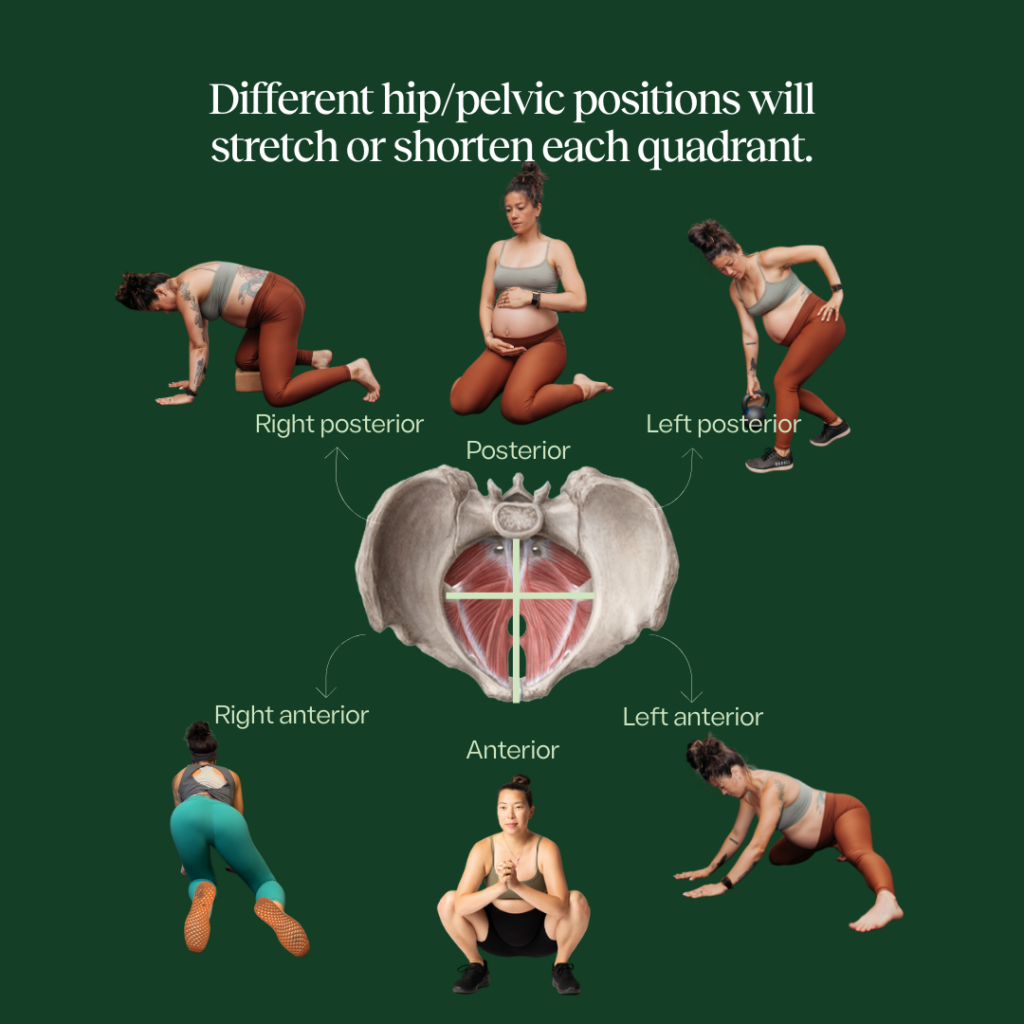 How to Open Your Pelvis for Birth: 7 Key Movements - MamasteFit